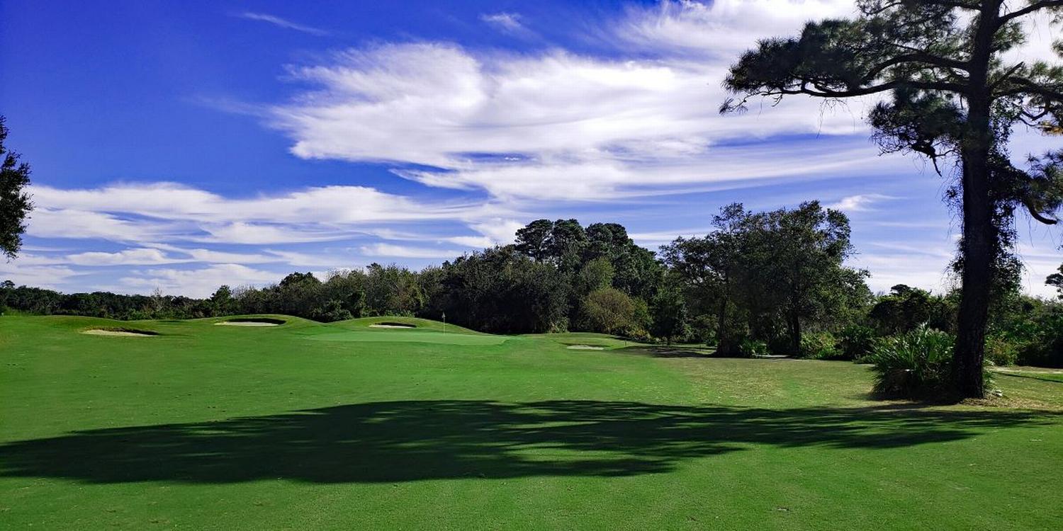 The Amelia River Club By David Theoret