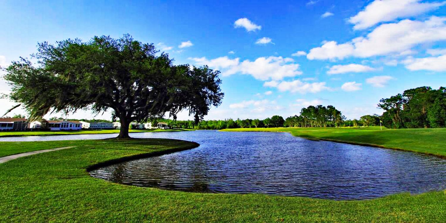 Big Cypress Golf Club By David Theoret