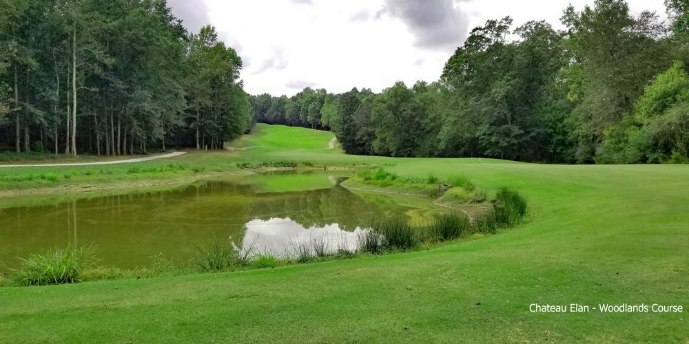 Chateau Elan By David Theoret