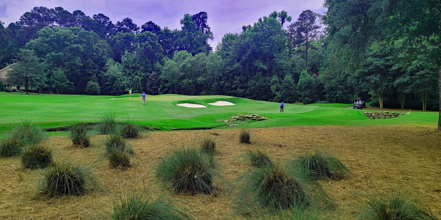 MacGregor Downs Country Club By David Theoret
