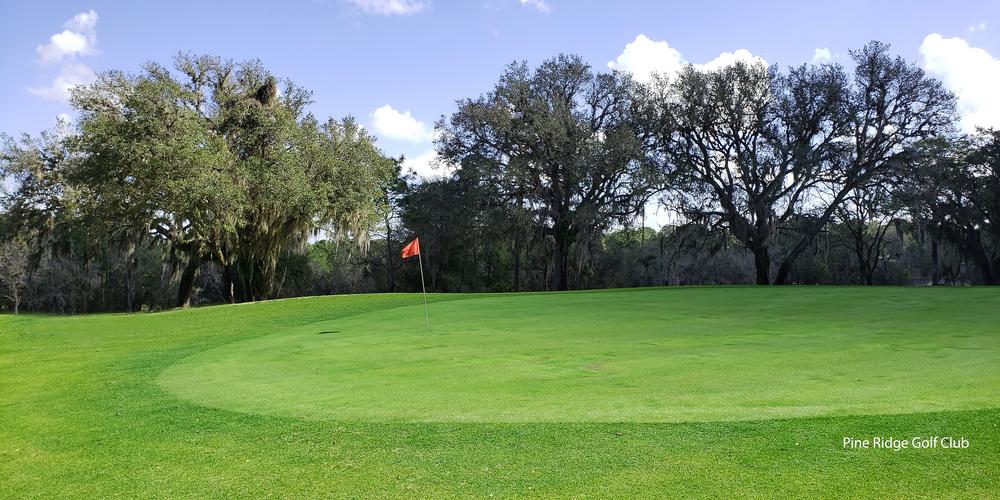 Pine Ridge Golf Club Review By David Theoret