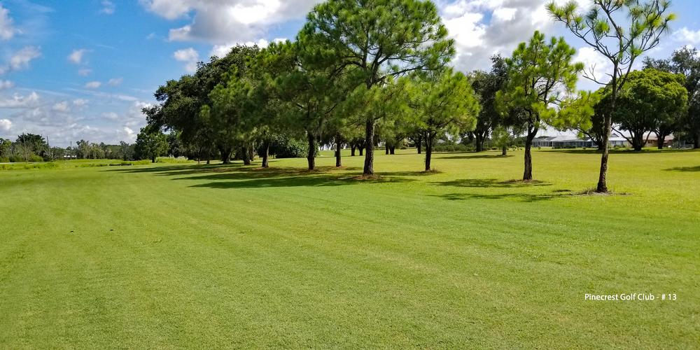 Pinecrest Golf Club on Lake Lotela By David Theoret