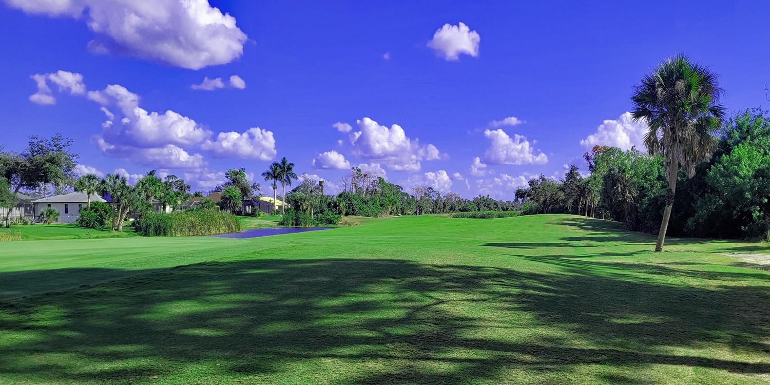 Rotonda Golf & Country Club By David Theoret