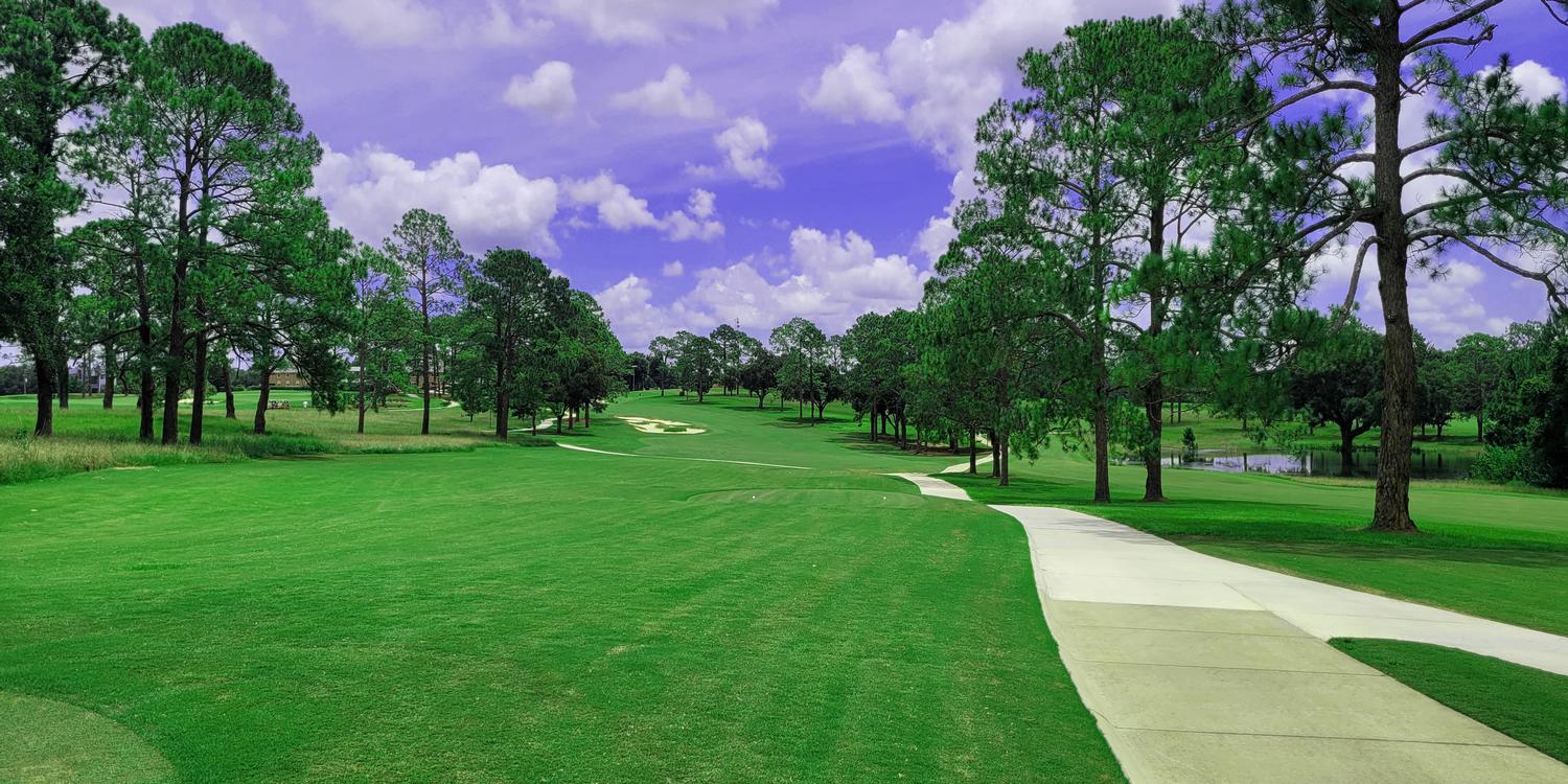 Seminole Legacy By David Theoret