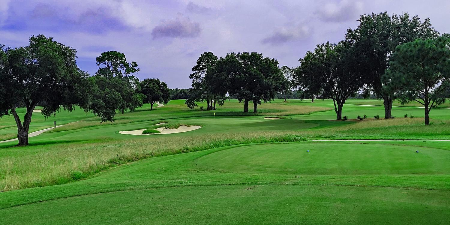 Seminole Legacy By David Theoret