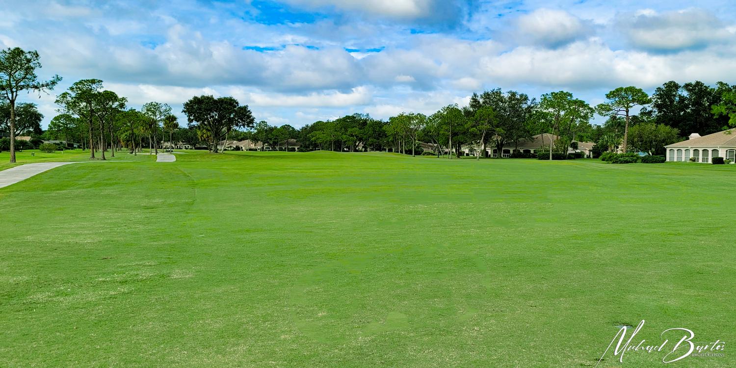 The Meadows By David Theoret