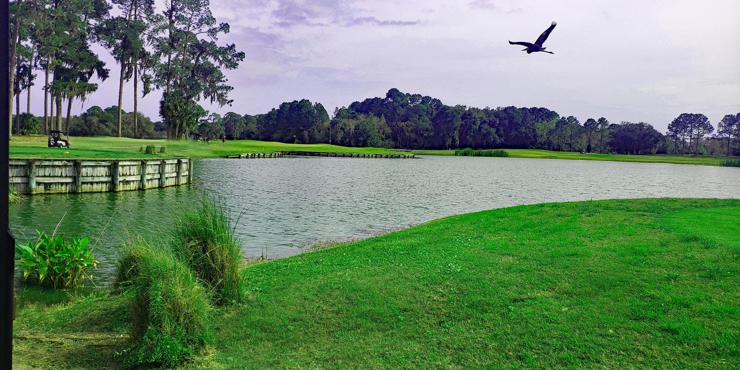 Timacuan Golf Club By David Theoret