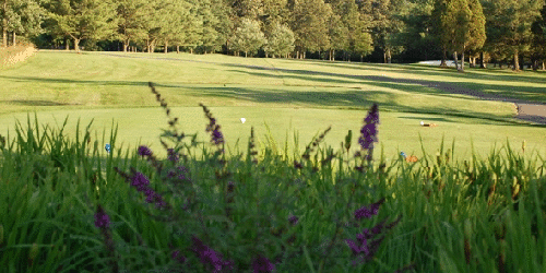 Washington, DC Golf Travel Guide - Washington, DC Golf Packages